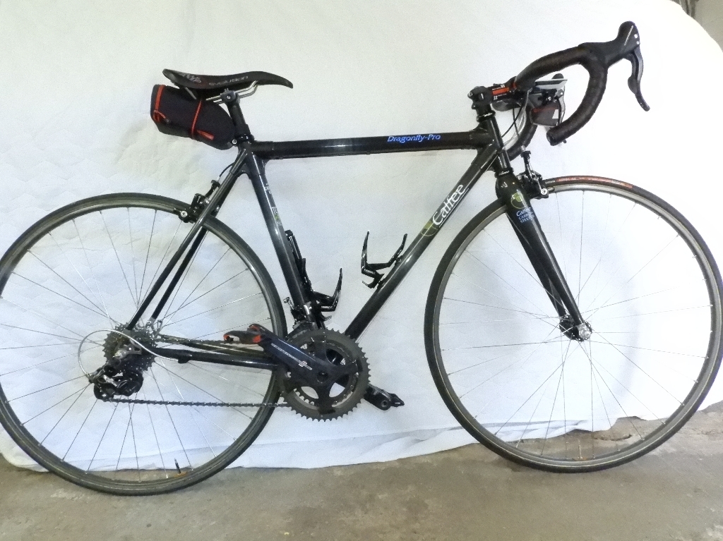 2002 Calfee Design Dragonfly Pro