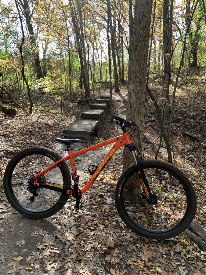 2018 Salsa Timberjack