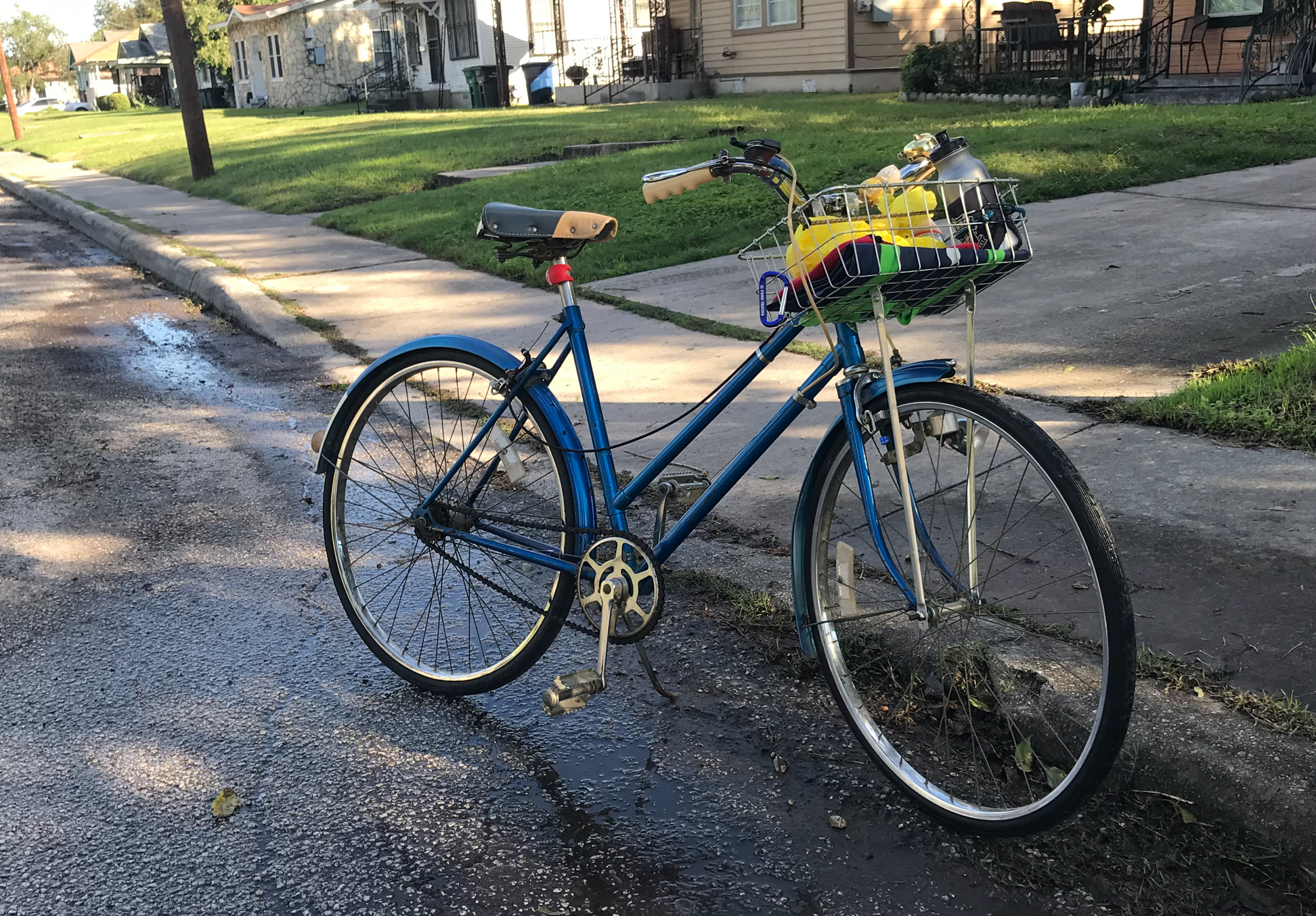 1965 Raleigh Hercules