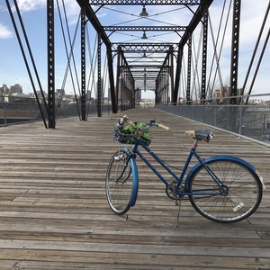 1965 Raleigh Hercules