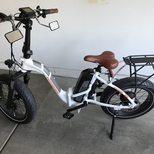 2019 Rad Power Bikes 2019 RadMini Step-Thru