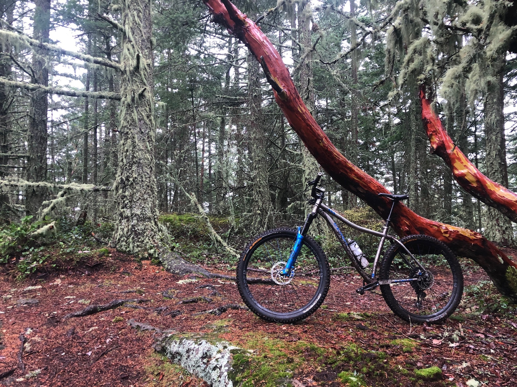 2019 Ti Cycles Custom XL 29er MTB