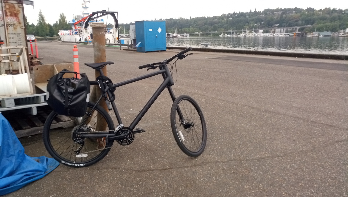 2018 Cannondale Bad Boy