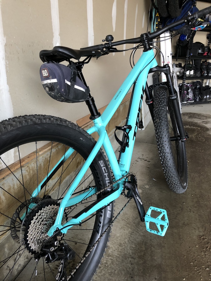 2019 Trek Roscoe 7