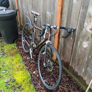 2011 Trek Portland