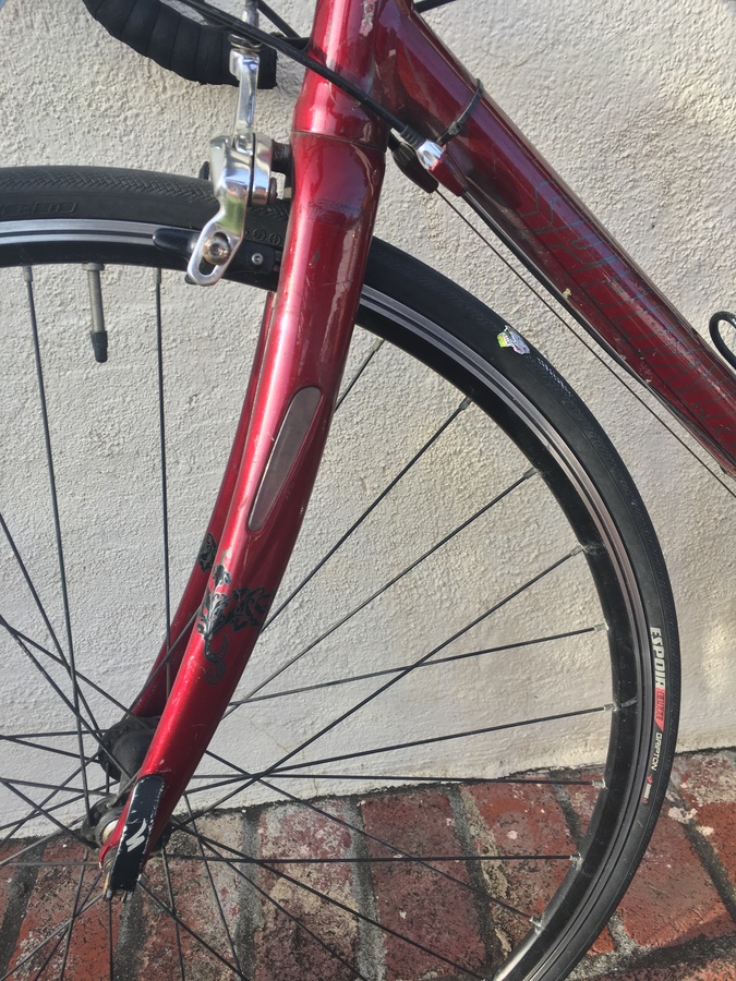 2009 Specialized Dolce Elite Triple