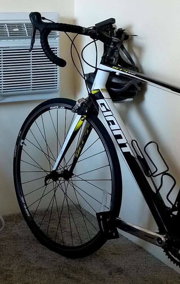 2015 Giant Defy 1