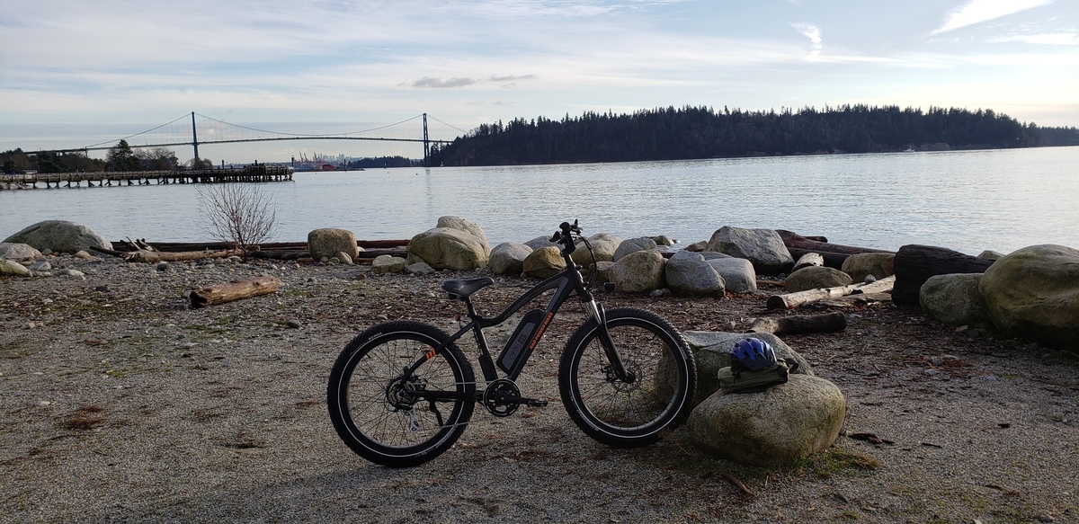 2019 Rad Power Bikes JB-TDE00Z