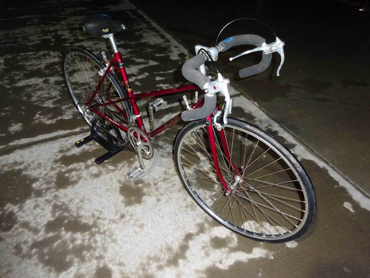 Miyata 310