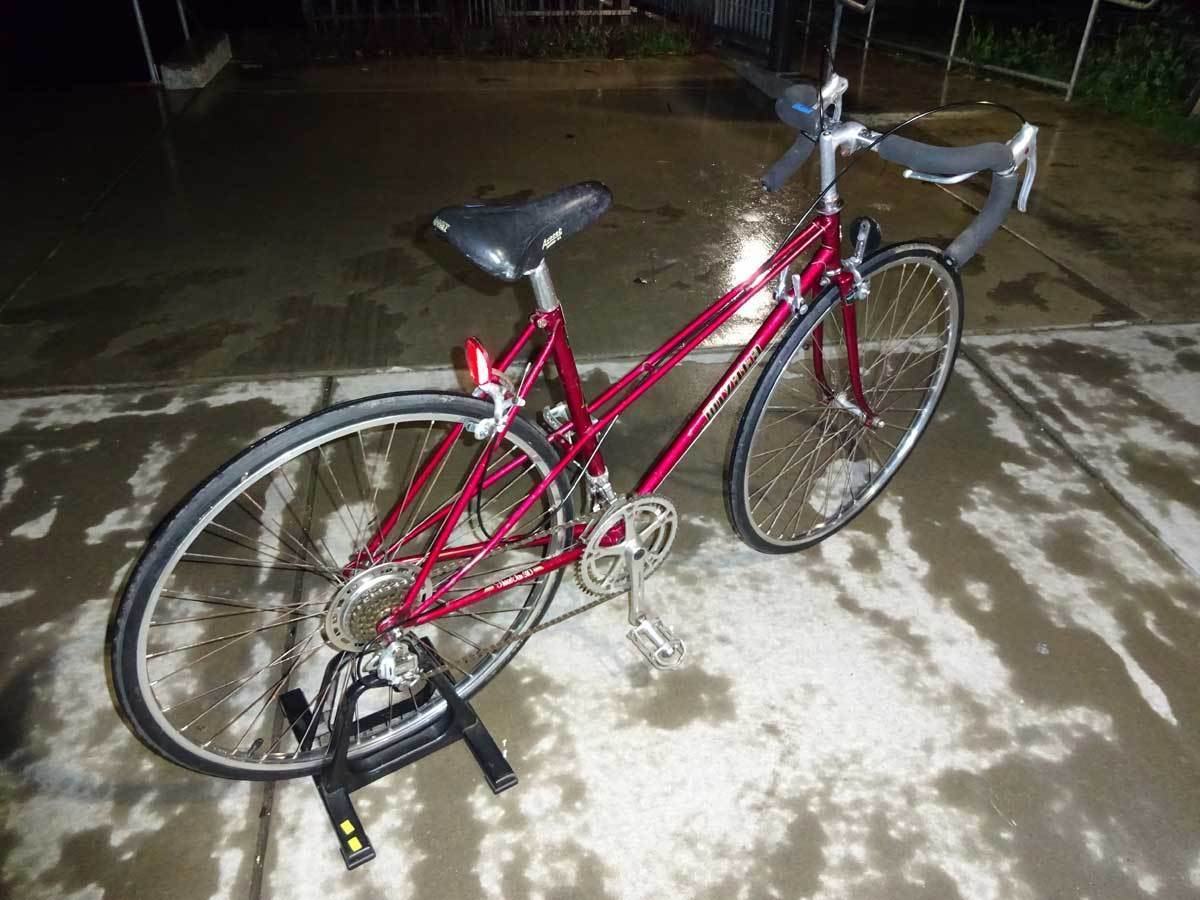 Miyata 310