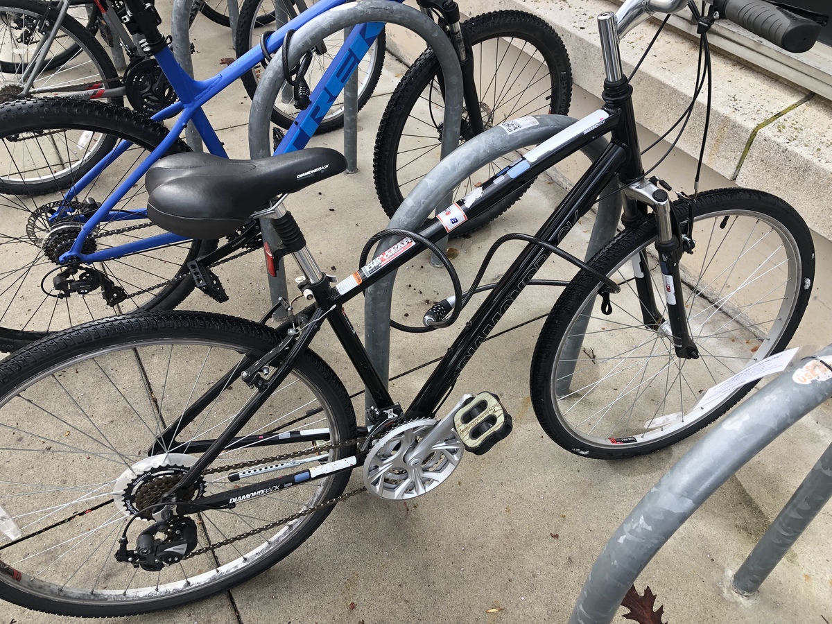 Diamondback Edge Wood