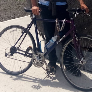 Stolen 1993 Trek 750