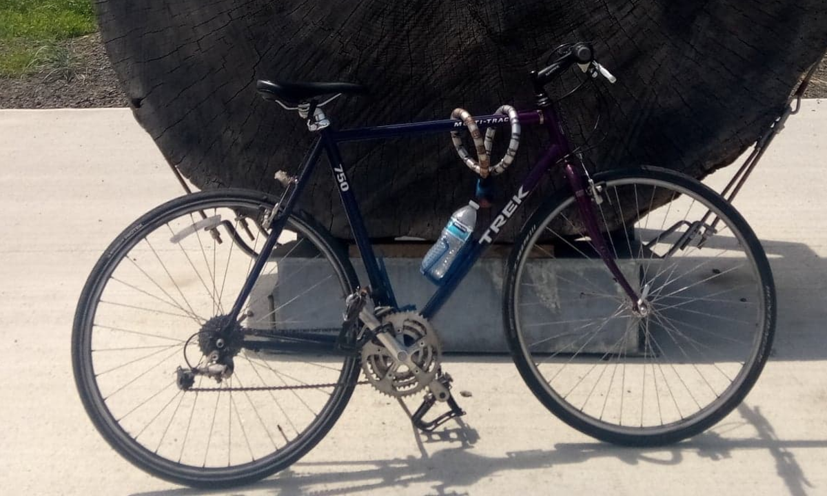 Stolen 1993 Trek 750