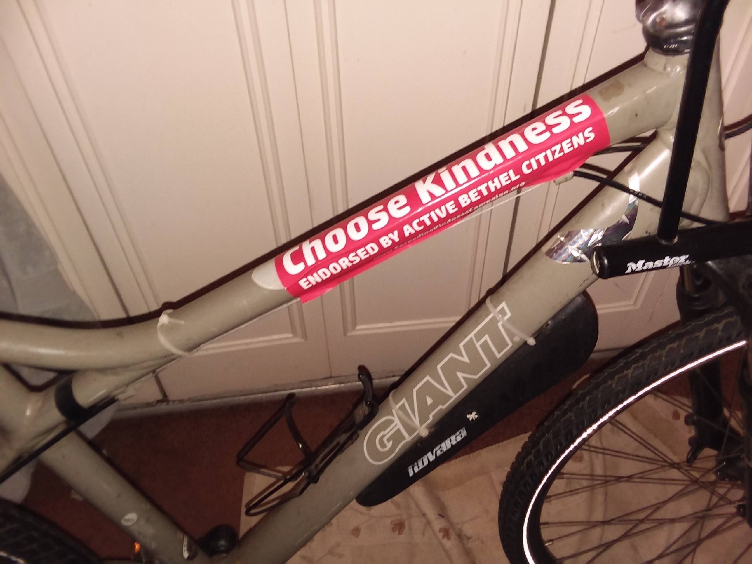 Giant 21 inch mountain bike