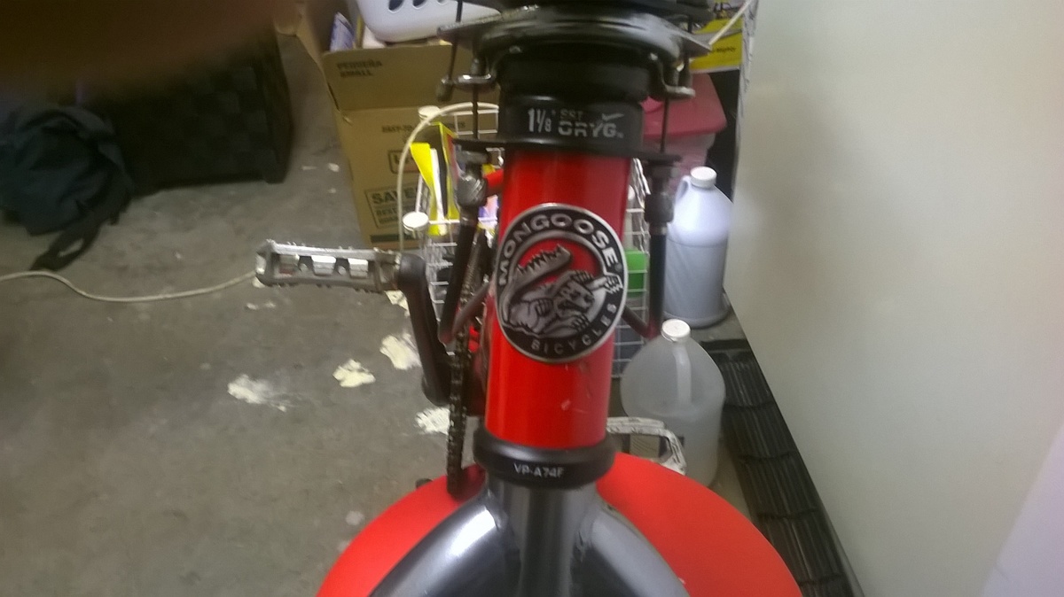 2011 Mongoose ravage