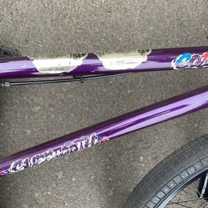 2018 Colony Sweet Tooth