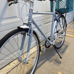 2019 Brilliant Bicycle L Train