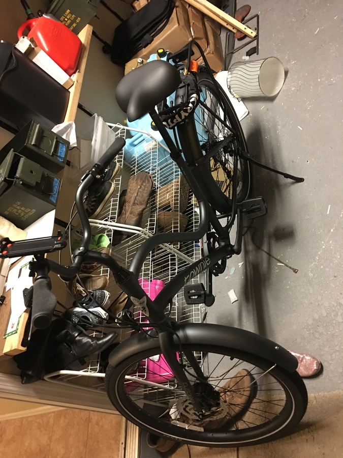 2020 Electra Townie Path 9D EQ step thru