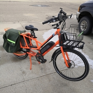 2019 Rad Power Bikes RADWAGON