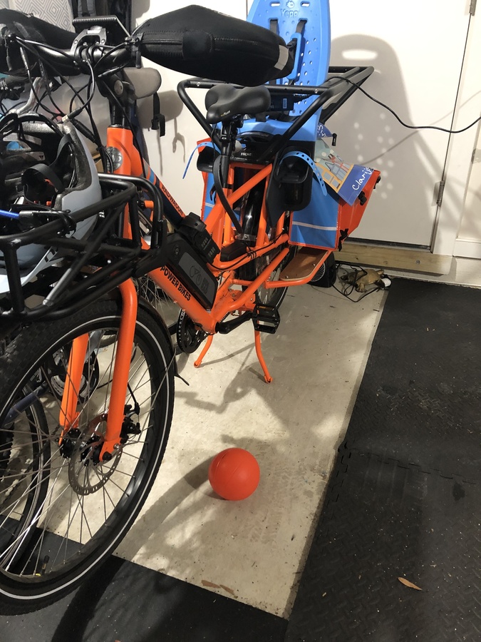 2019 Rad Power Bikes Radwagon