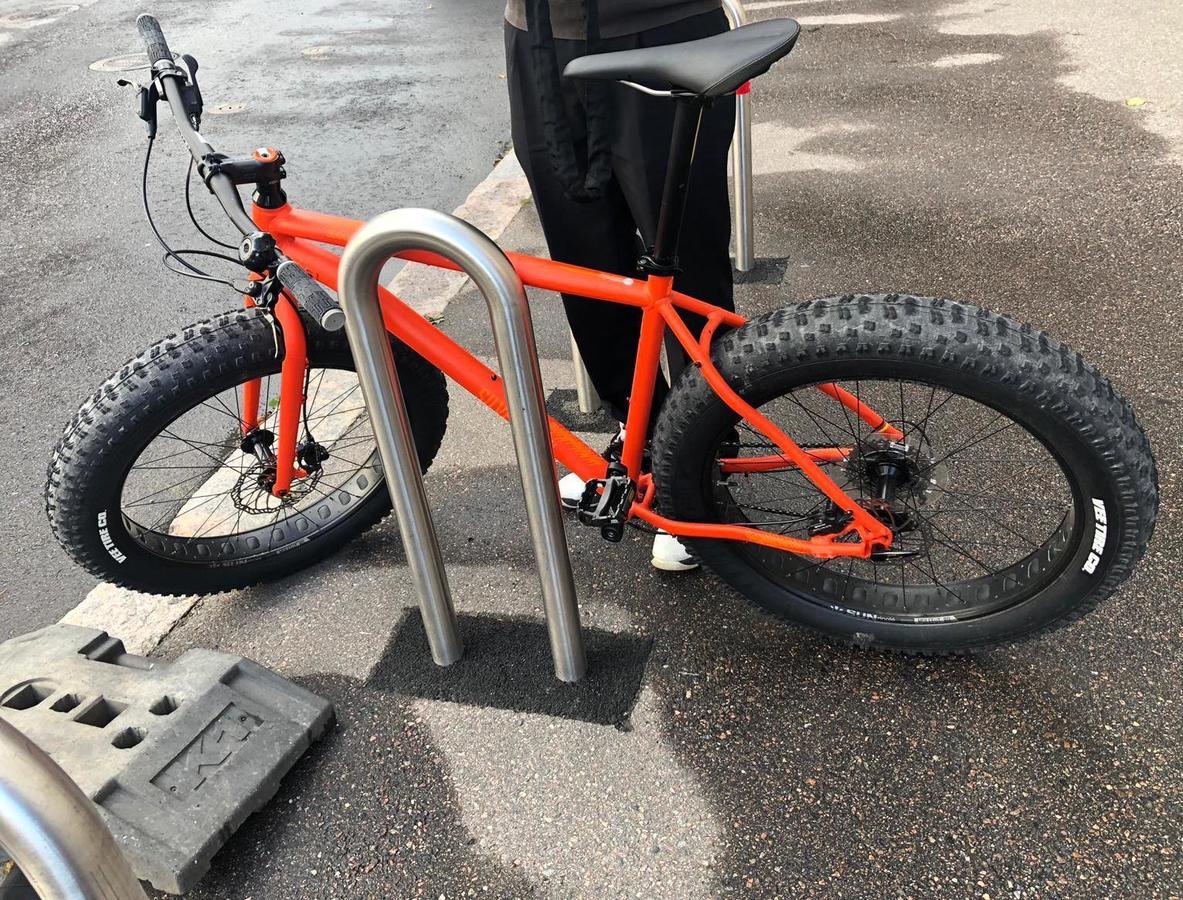 Stolen 2019 silverback