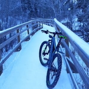 2017 SCOTT Scale 720+ Large