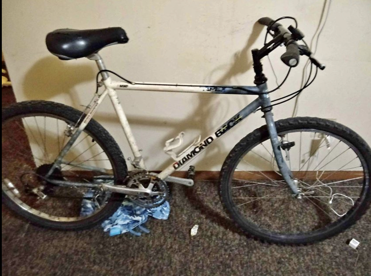 1990 Diamondback Apex