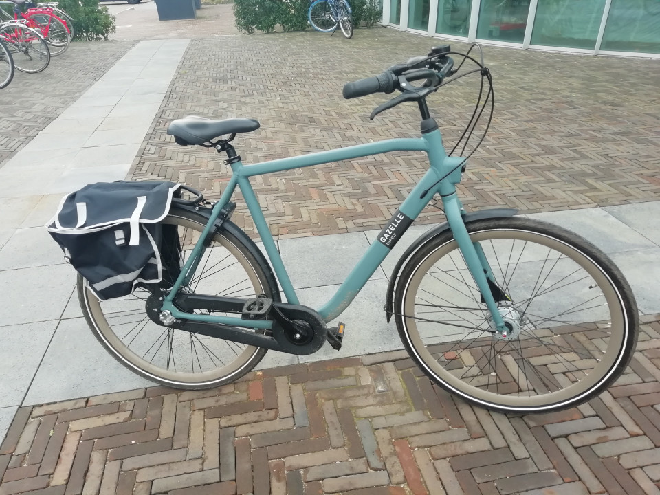 Gazelle Esprit H59 N3, petrol matt