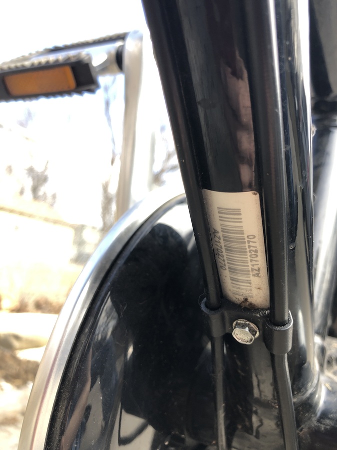 2015 WorkCycles Secret Service Ladies