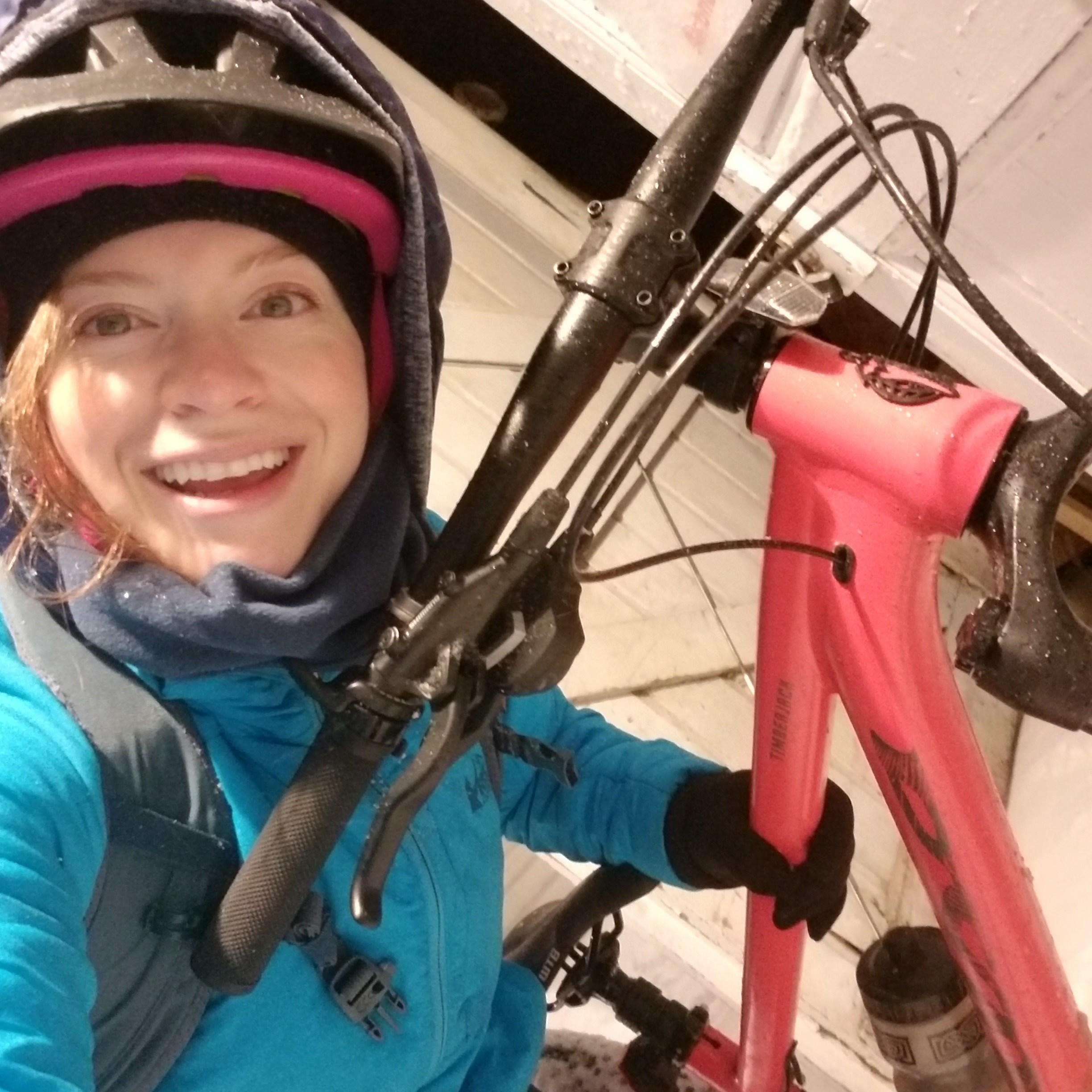 Stolen 2019 Salsa Timberjack