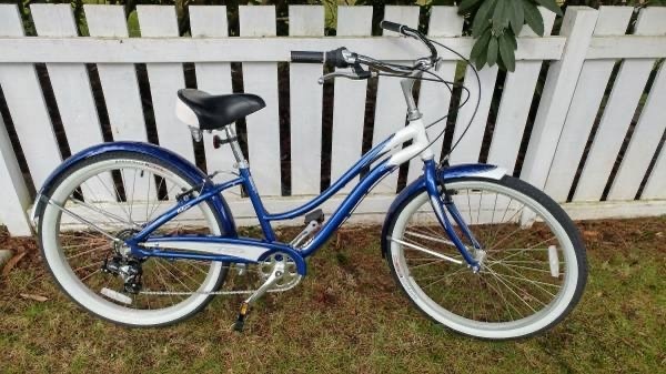 Stolen 2010 Trek Calypso Women's