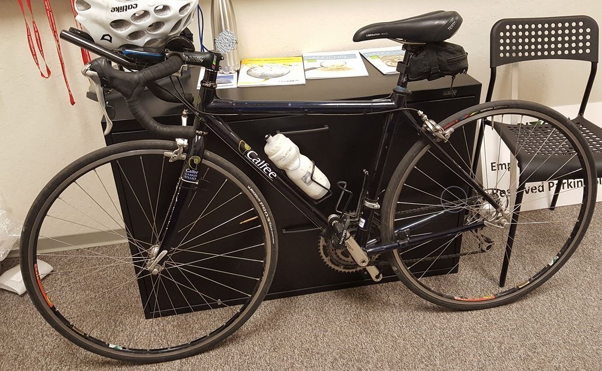 Stolen 2005 Calfee Design Luna Pro