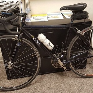 Stolen 2005 Calfee Design Luna Pro