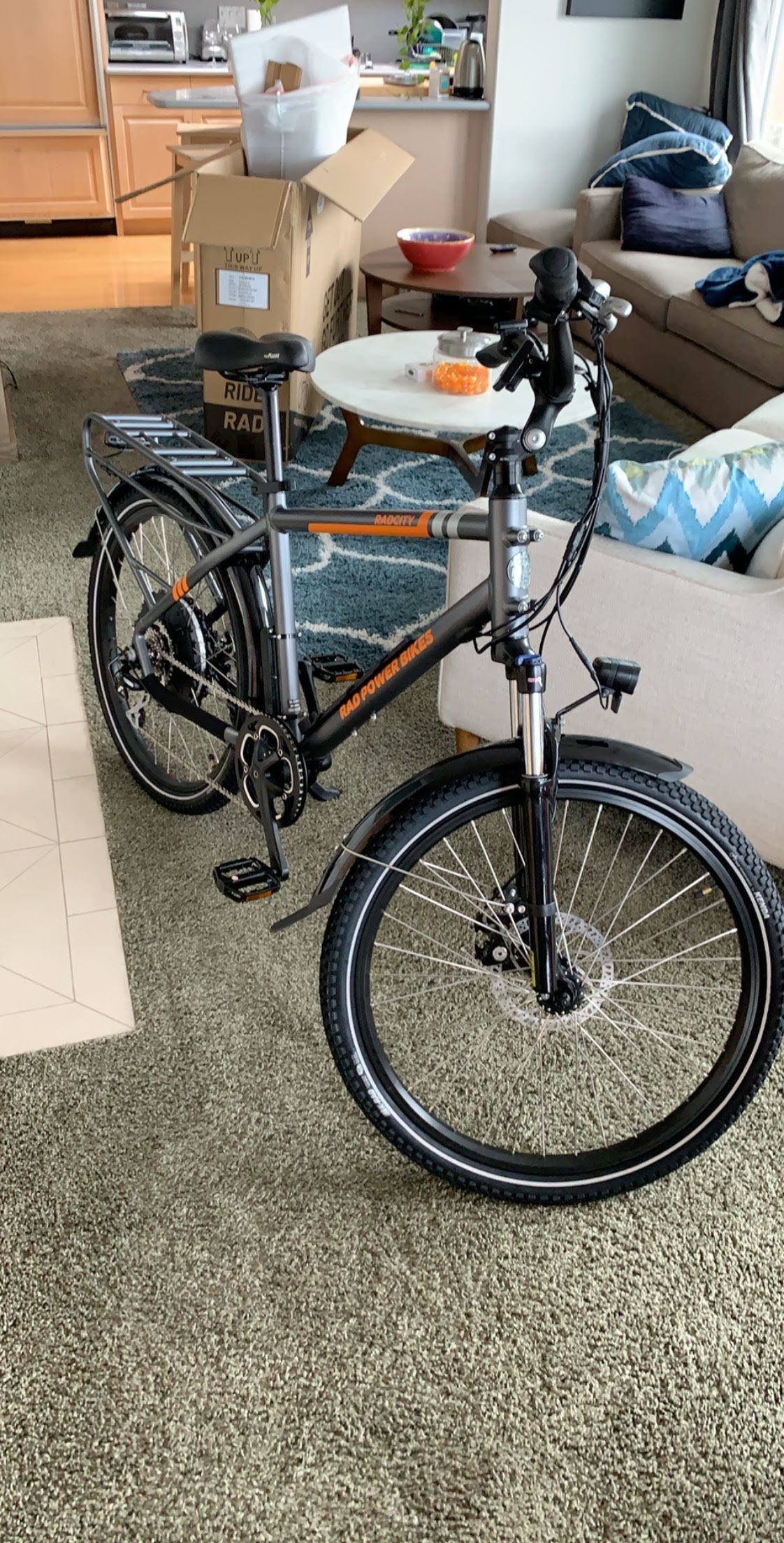 2019 Rad Power Bikes RadCity 19"