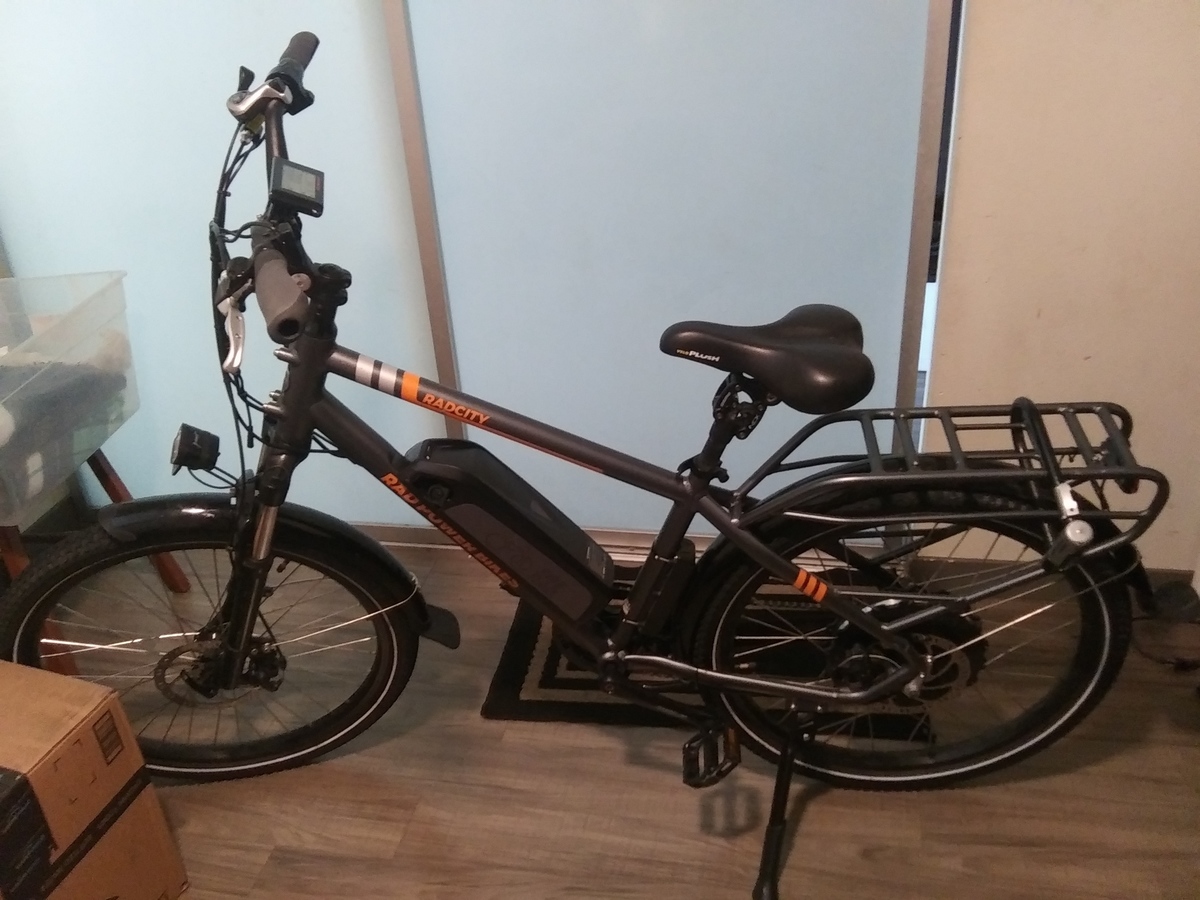 2018 Rad Power Bikes 16TDE3002