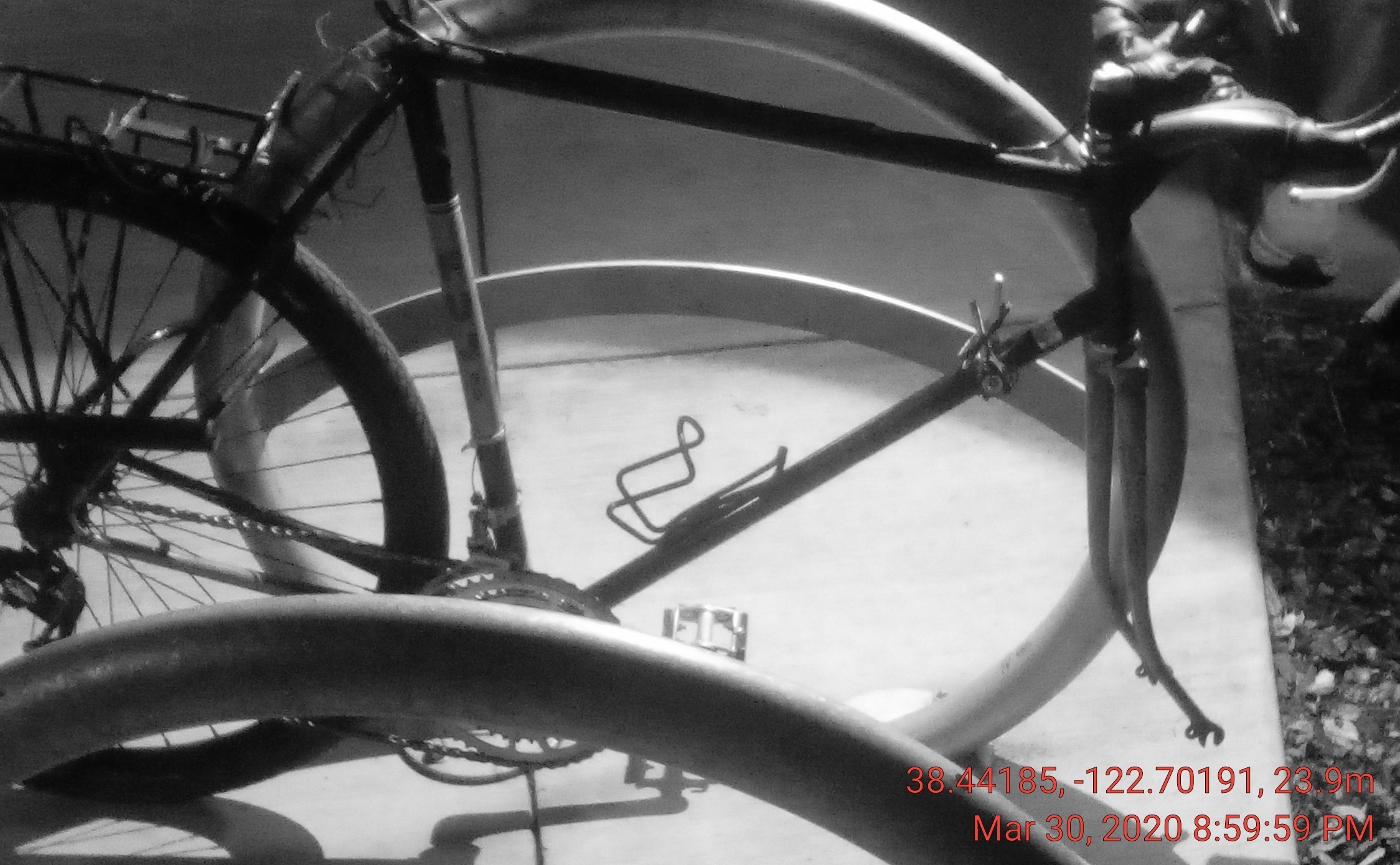 Fuji Del Rey (Shimano Coasting)