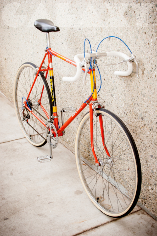 Stolen 1973 Raleigh Team Record