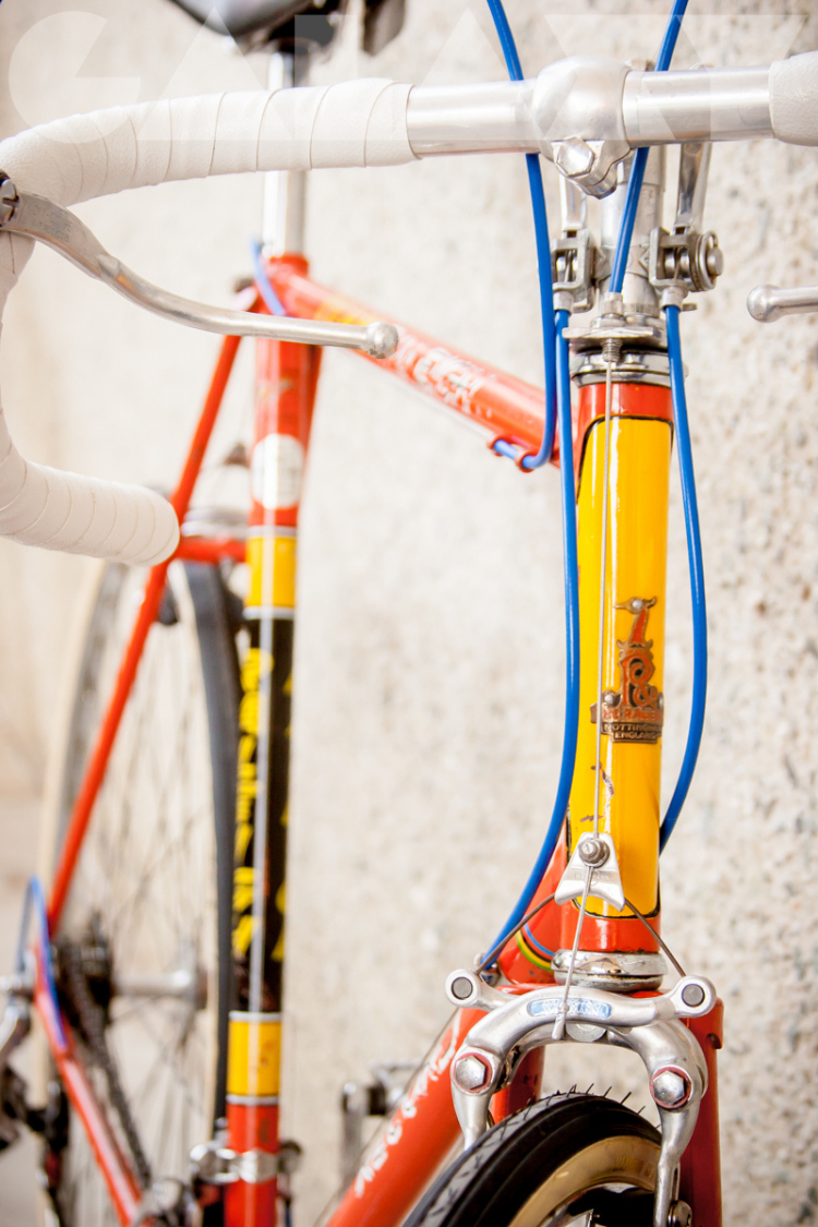 Stolen 1973 Raleigh Team Record