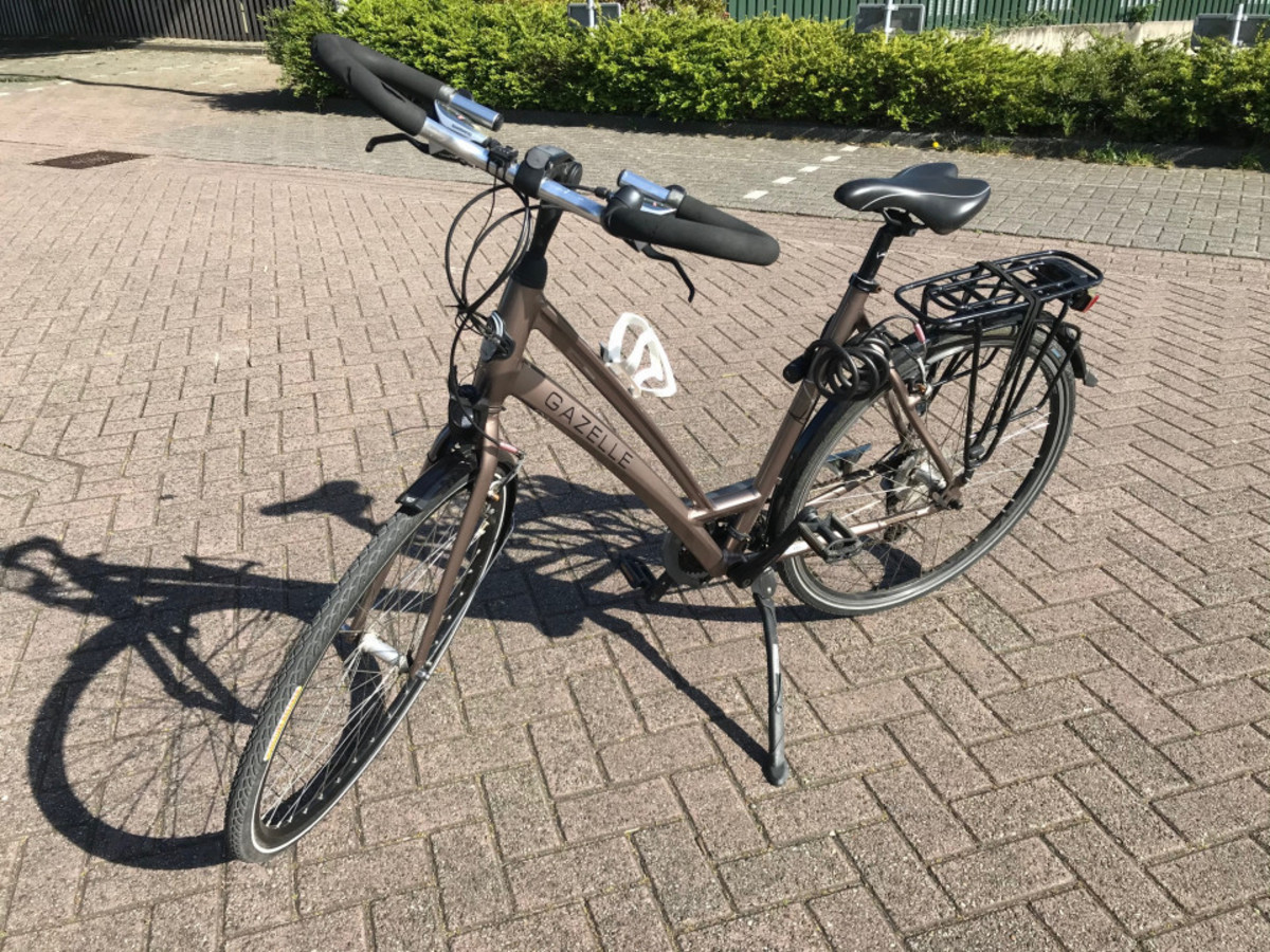 Gazelle Chamonix T24