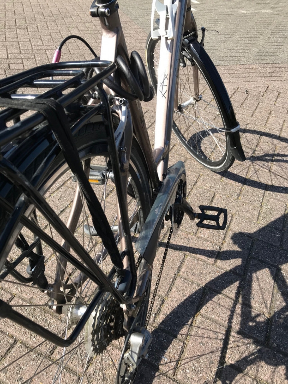 Gazelle Chamonix T24