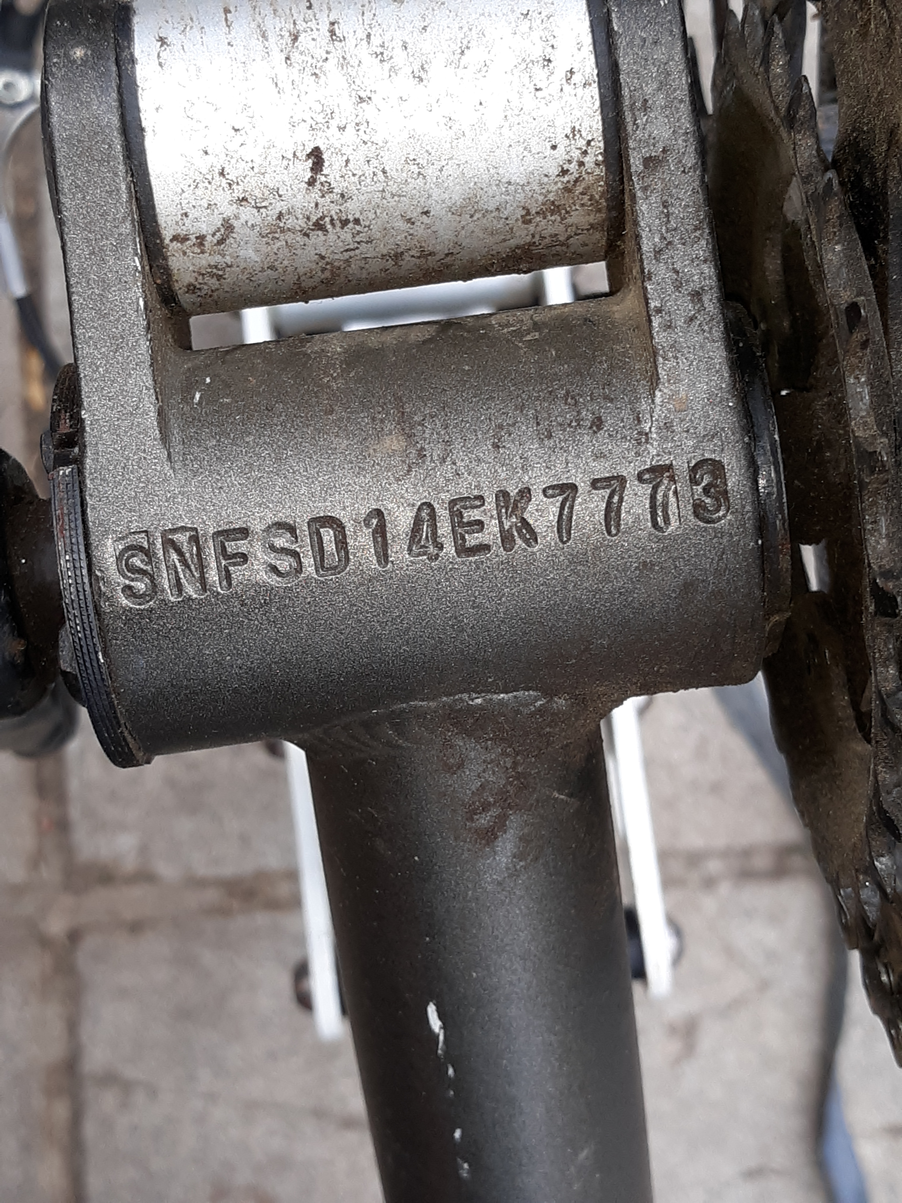 2020 Mongoose 2.1