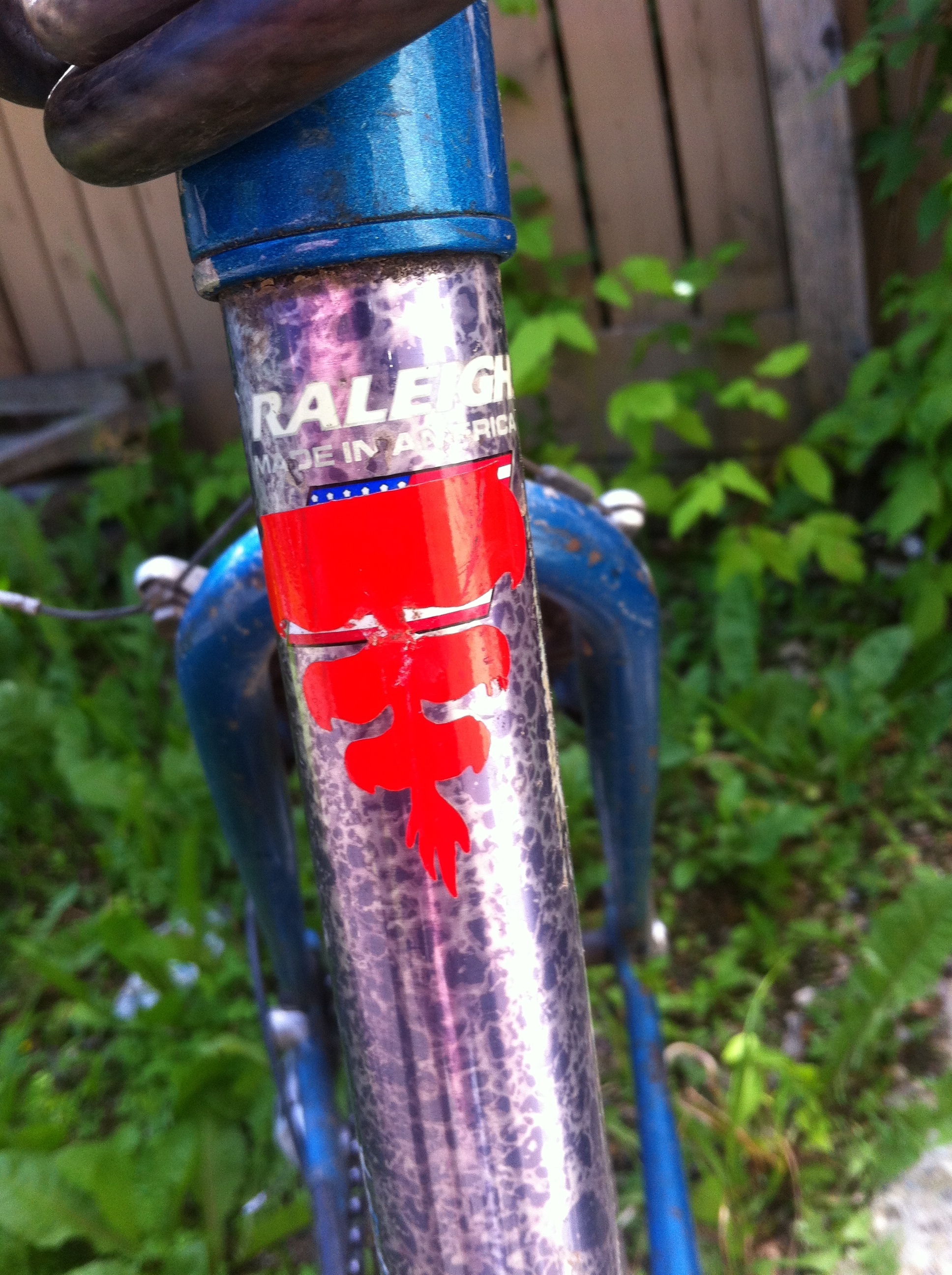 1991 Raleigh TECHNIUM CHILL