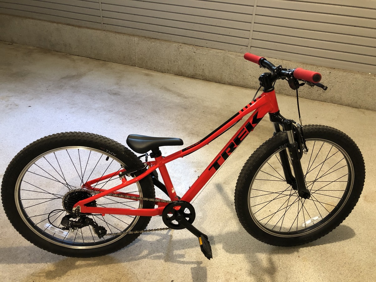 2020 Trek Alpha Silver Aluminum [Precaliber 24]