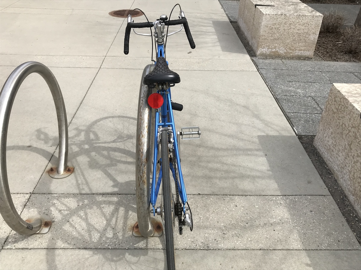1983 Raleigh Record