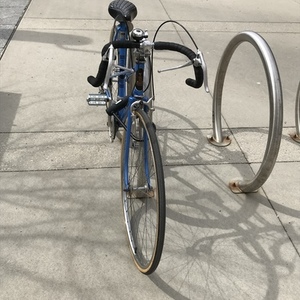1983 Raleigh Record