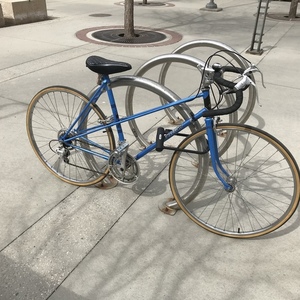 1983 Raleigh Record