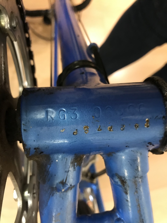 1983 Raleigh Record