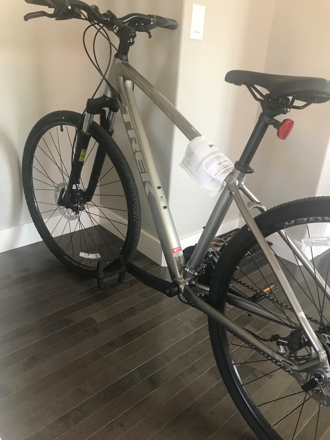 2020 Trek Dual Sport 1