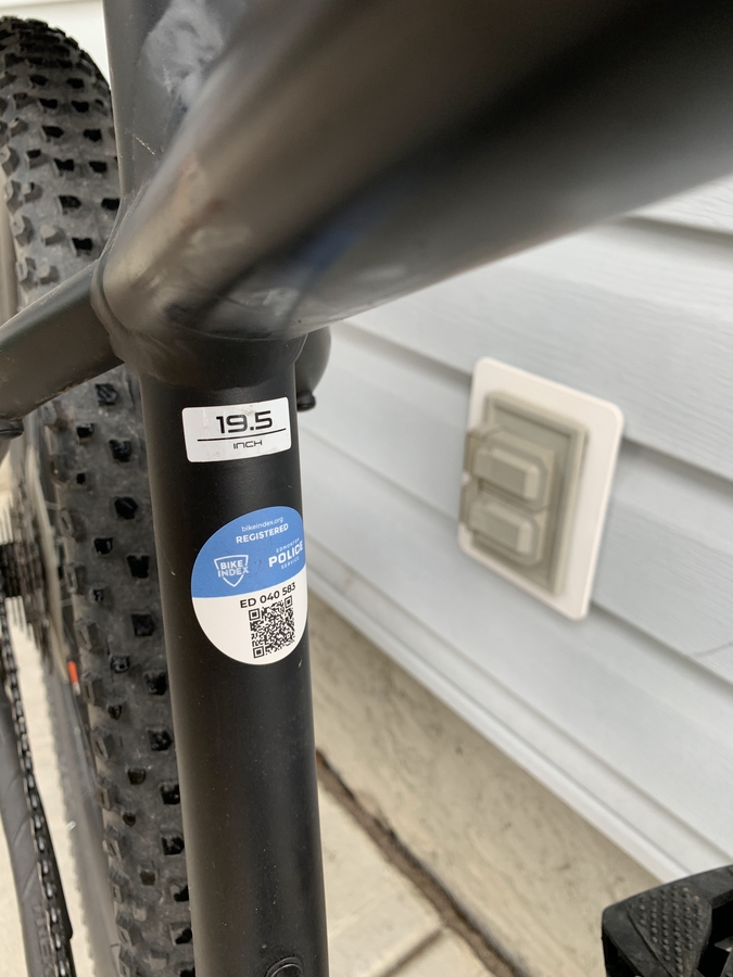 2019 Trek Powerfly 5