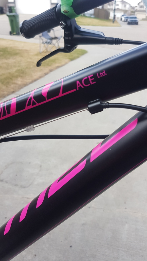 2019 MEC Ace Ltd.